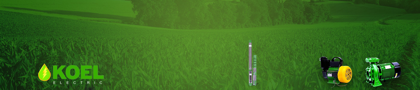Koel Electric Pumps - Bothra Sales Corporation